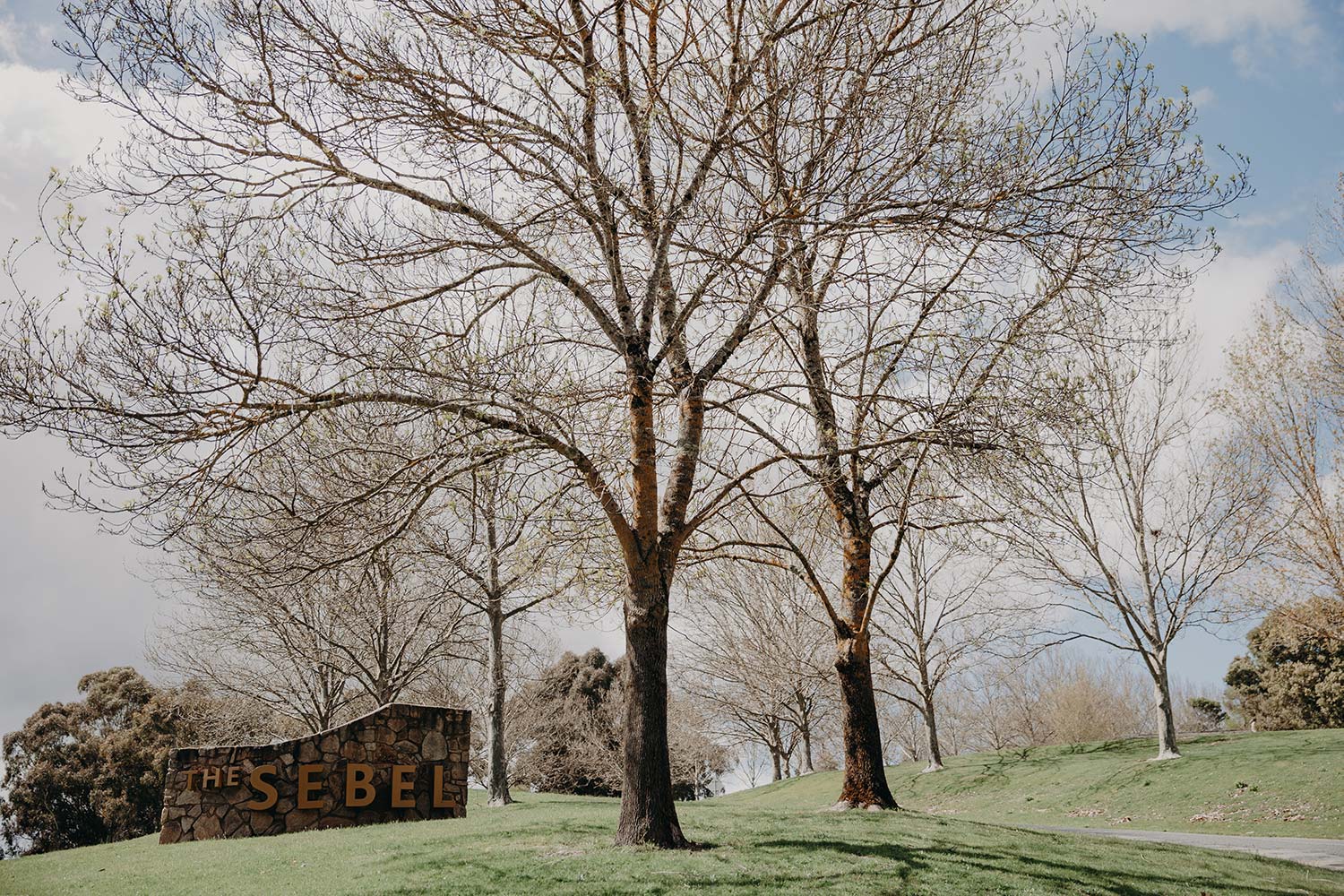 Weddings - The Sebel Pinnacle Valley Resort